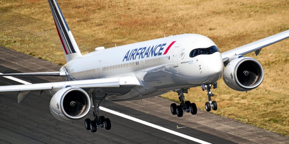 Frenchblue change de nom et devient French bee | AAF /// Actualité ...